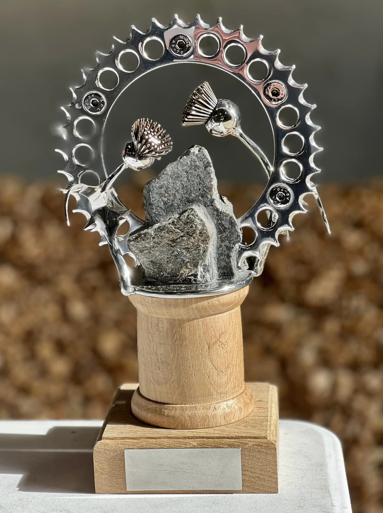 Ray Sangster Memorial Trophy | Highland Classic Two Day Trial